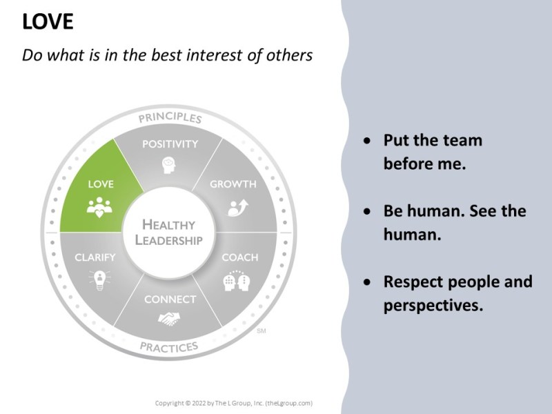 Healthy Leadership Briefing Slides - The L Group