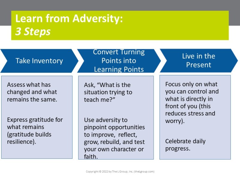 Healthy Leadership Briefing Slides - The L Group